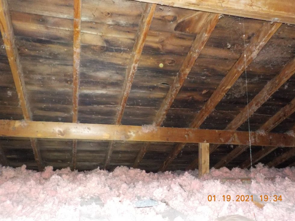 What to expect - On The Beam Inspections